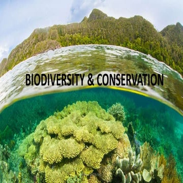 Chapter 4 Biodiversity and conservation | PPT