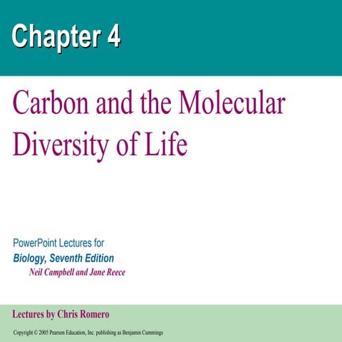 Ch 4: Carbon and Diversity | PPT
