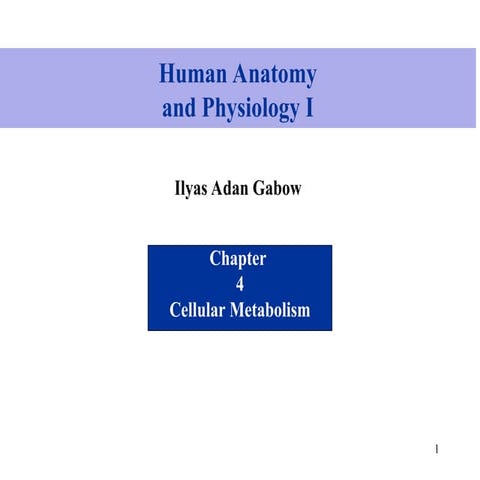 Metabolism- Biochemistry | PPT