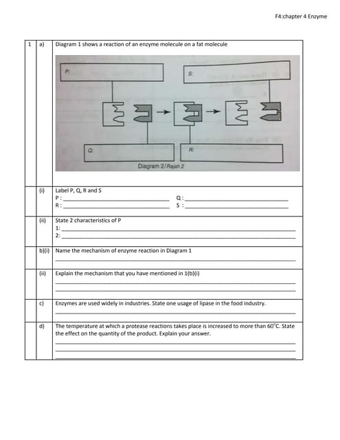 Lab Red Cabbage Juice Pdf