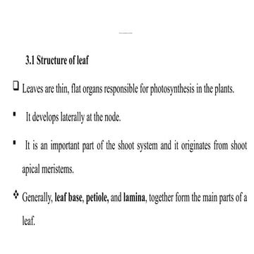 12th Biology Practical Spotting Q.4.pptx