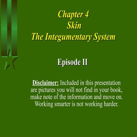 Chapter 4 lecture 2 | PPT