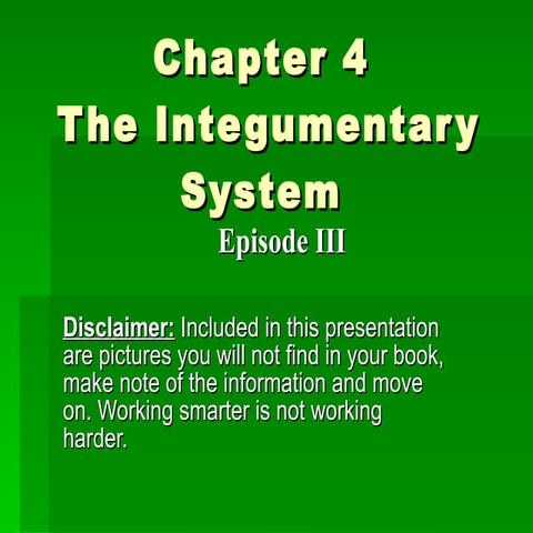 Chapter 4 lecture 3 | PPT