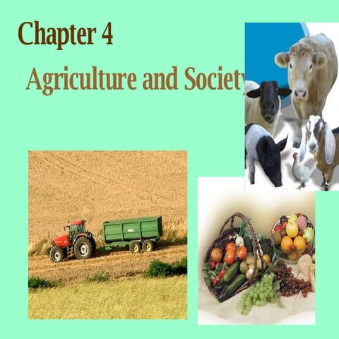 Chapter 4 Notes-Agriculture | PPT