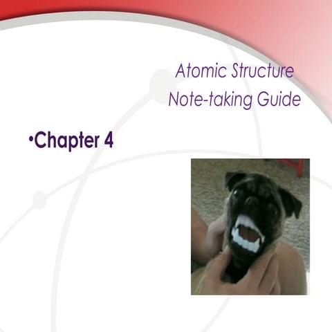 Chapter 4 notes | PPT