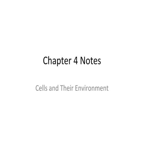 Chapter 4 notes new | PPT
