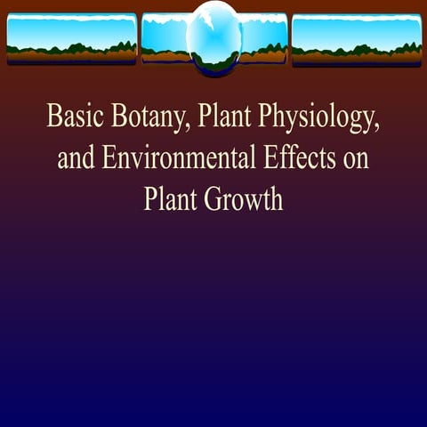 Plant anatomy presentation | PPT