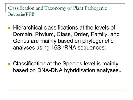 Classification of Bacteria.pdf