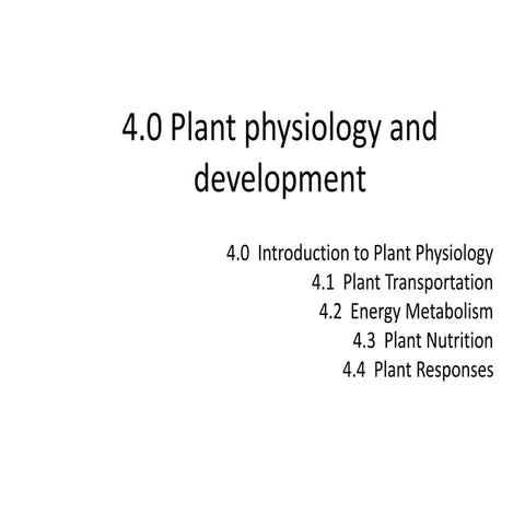 Plant anatomy & physiology | PPT