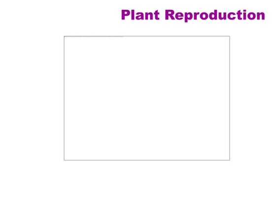 Invertebrates class ppt | PPT