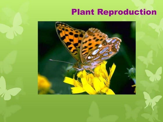 Reproduction in plants for grade 5 | PPT