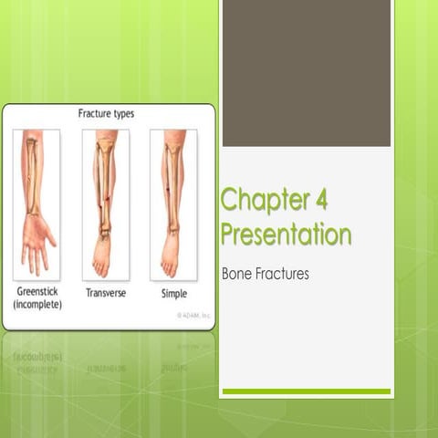 Chapter 4 presentation | PPTX