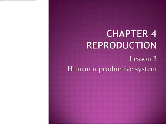 Human reproduction natural science | PPT