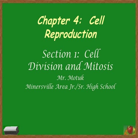 Mitosis | PPT