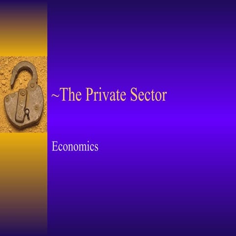 Chapter 4~the private sector | PPT
