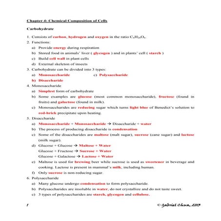 Chapter 4 with answer | PDF