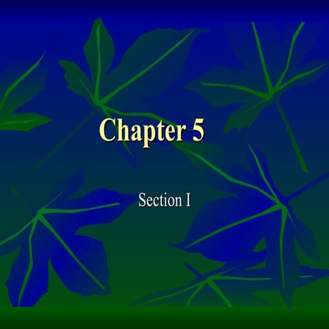 Chapter 5 | PPT