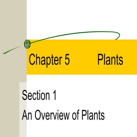 plants | PPT