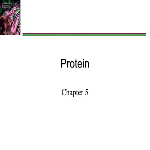 Chapter5 | PPT