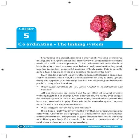 Chapter 5 | PDF | Brain and Nervous System Disorders | Diseases and ...