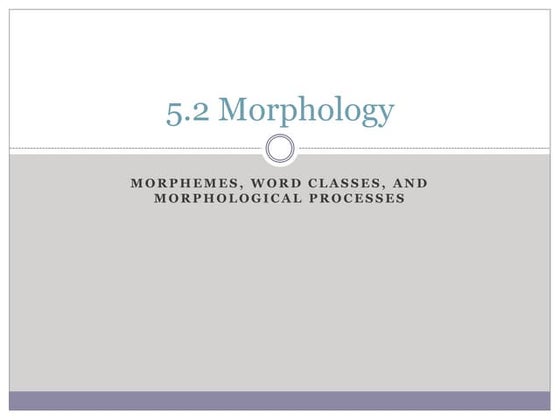 Morphology.pptx