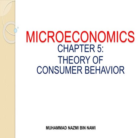 Microeconomics - Theory of consumer behaviour.pptx