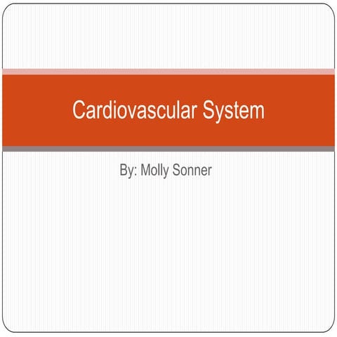 Chapter 5 - Cardiovascular System | PPTX