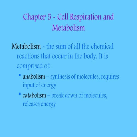 Chapter_5_-_Cell_Respiration_and_Metabolism.ppt