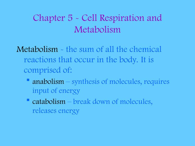 aerobic and anaerobic respiration.pptx