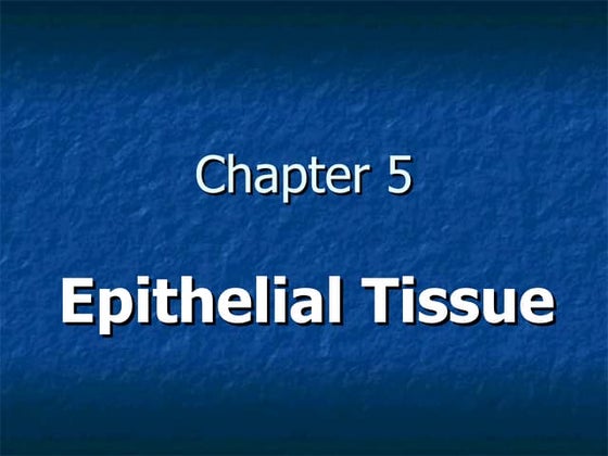 Epithelium histology | PPT