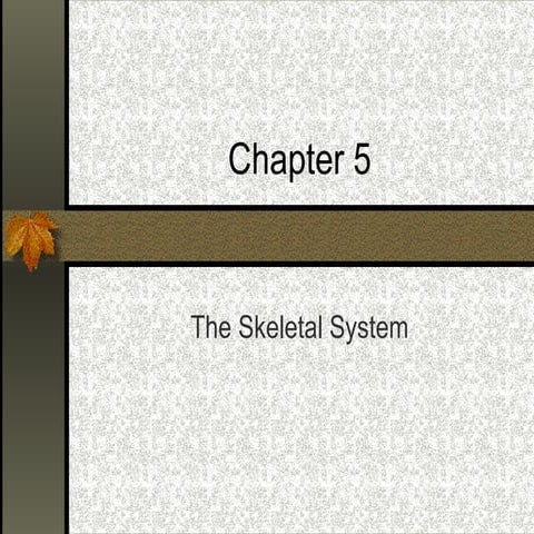 Chapter 5 Skeletal System | PPT