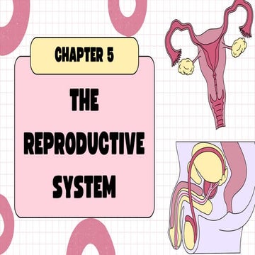 Human Reproductive System for grade 7 science | PDF