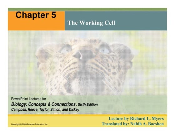 Bio chapter 5 | DOCX | Reproductive Health | Diseases and Conditions