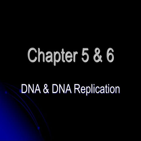 Chapter 5 & 6 - DNA & DNA Replication.ppt