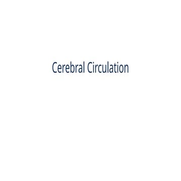 Chapter 58, concept of CEREBRAL CIRCULATION.pptx | Brain and Nervous ...