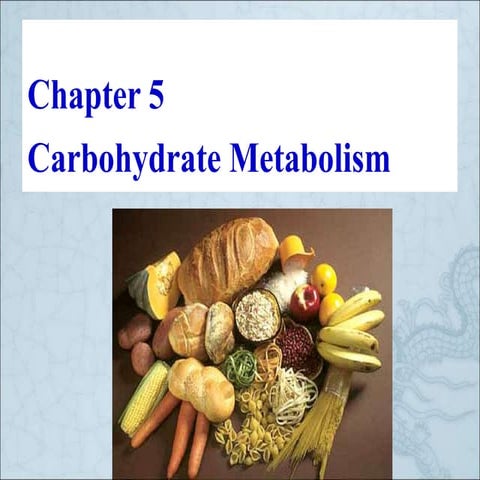 Chapter 5 Carbohydrate Metabolism-I.ppt
