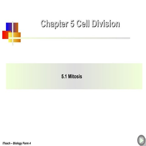 chapter 5 Cell ...