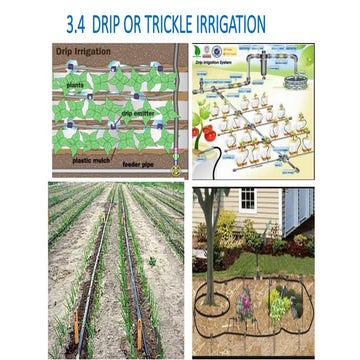 Chapter 5 Drip Irrigation Enginnering.pptx