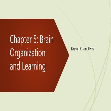EDUC 553: Souza Chapter 5 | PPT