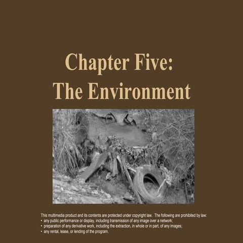 Chapter 5 environment | PPT