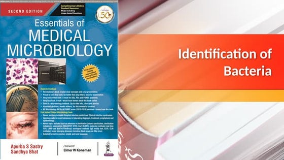 Enterobacteriaceae , Enterobacter and their Biochemical Test | DOCX