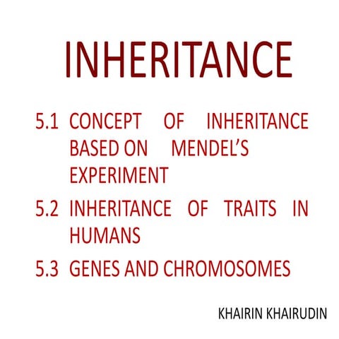 Chapter 5 inheritance | PPT