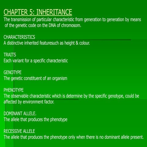 CHAPTER 5 INHERITANCE.ppt | Blood Disorders | Diseases and Conditions