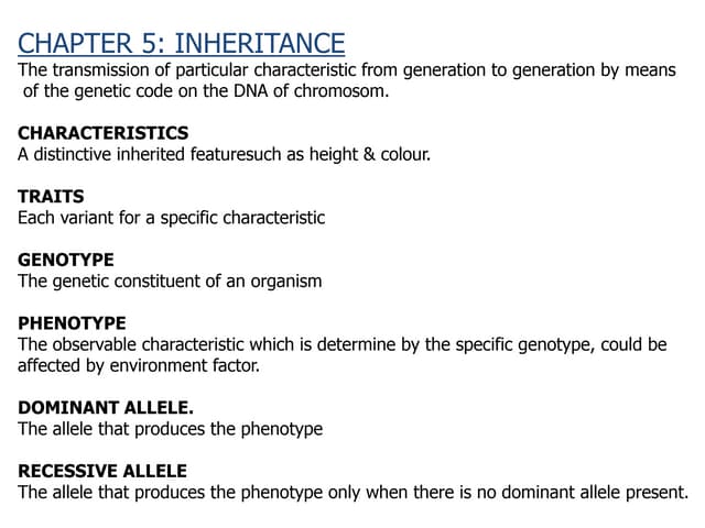 CHAPTER 5 INHERITANCE students.ppt CHAPTER 5 INHERITANCE students.ppt