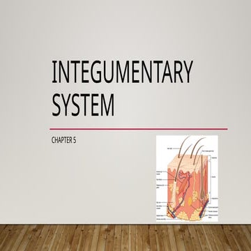 Atharva randoms hdhdjsksmsmsmnsnanansnama | PPTX