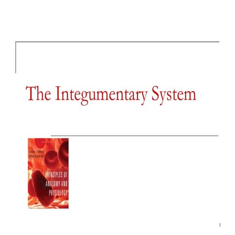 Chapter_5_Integumentary_System_Power_Point.ppt
