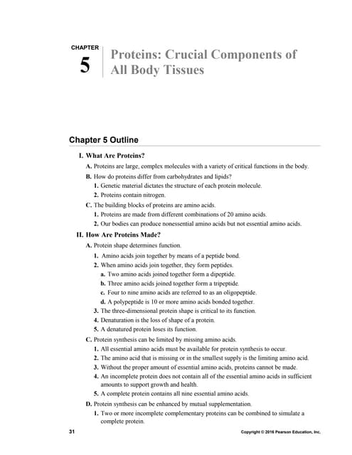 Chapter 7 lecture outline | DOC | Blood Disorders | Diseases and Conditions