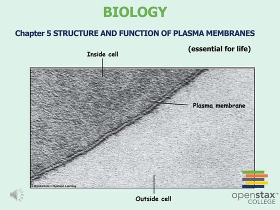 Cell Membranes Part II including Active Transport 1213h(1).ppt