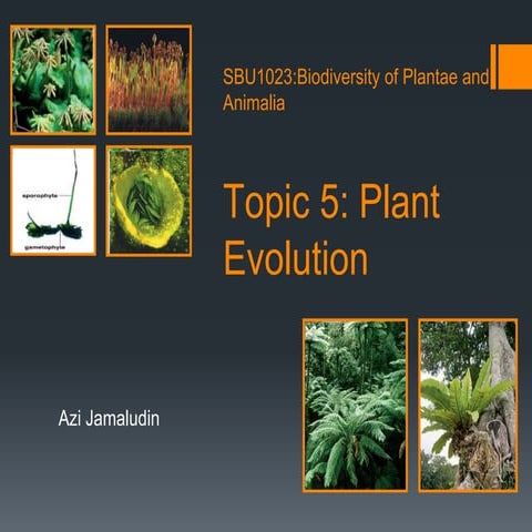 Non flowering plants life cycle | PPTX