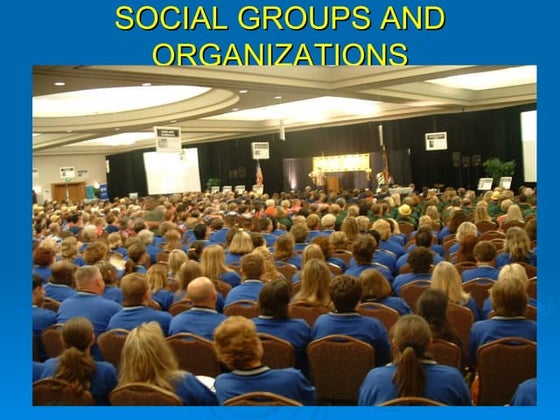 Social groups and Social organization | PPTX